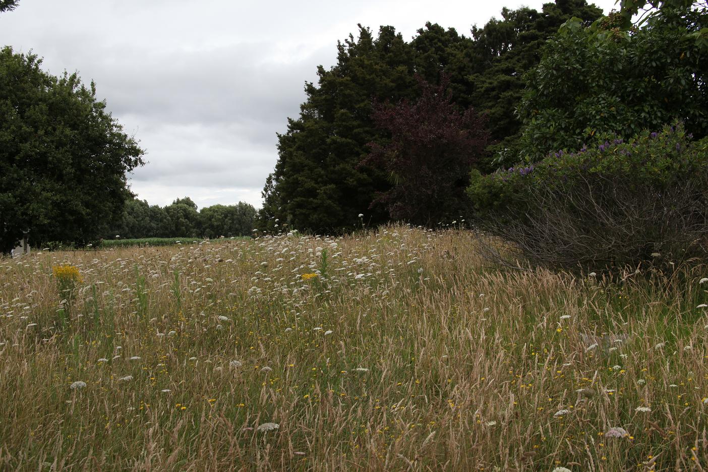 Hoe O Tainui (Matawhara) » Marae » Māori Maps