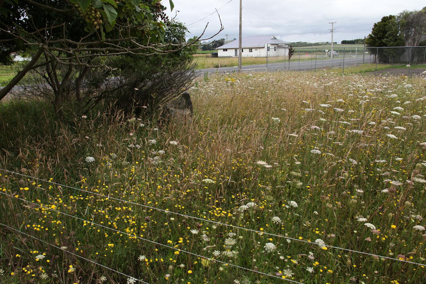 Hoe O Tainui (Matawhara) » Marae » Māori Maps