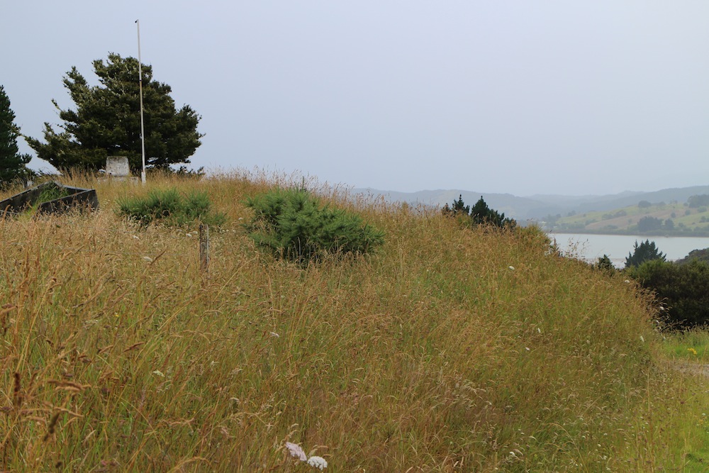 Otarihau » Marae » Māori Maps