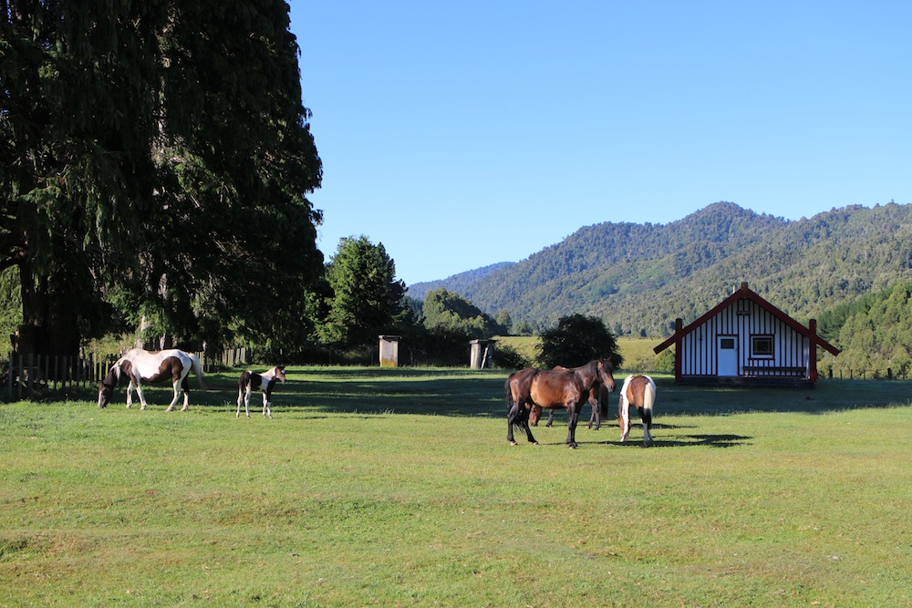 Otekura » Marae » Māori Maps