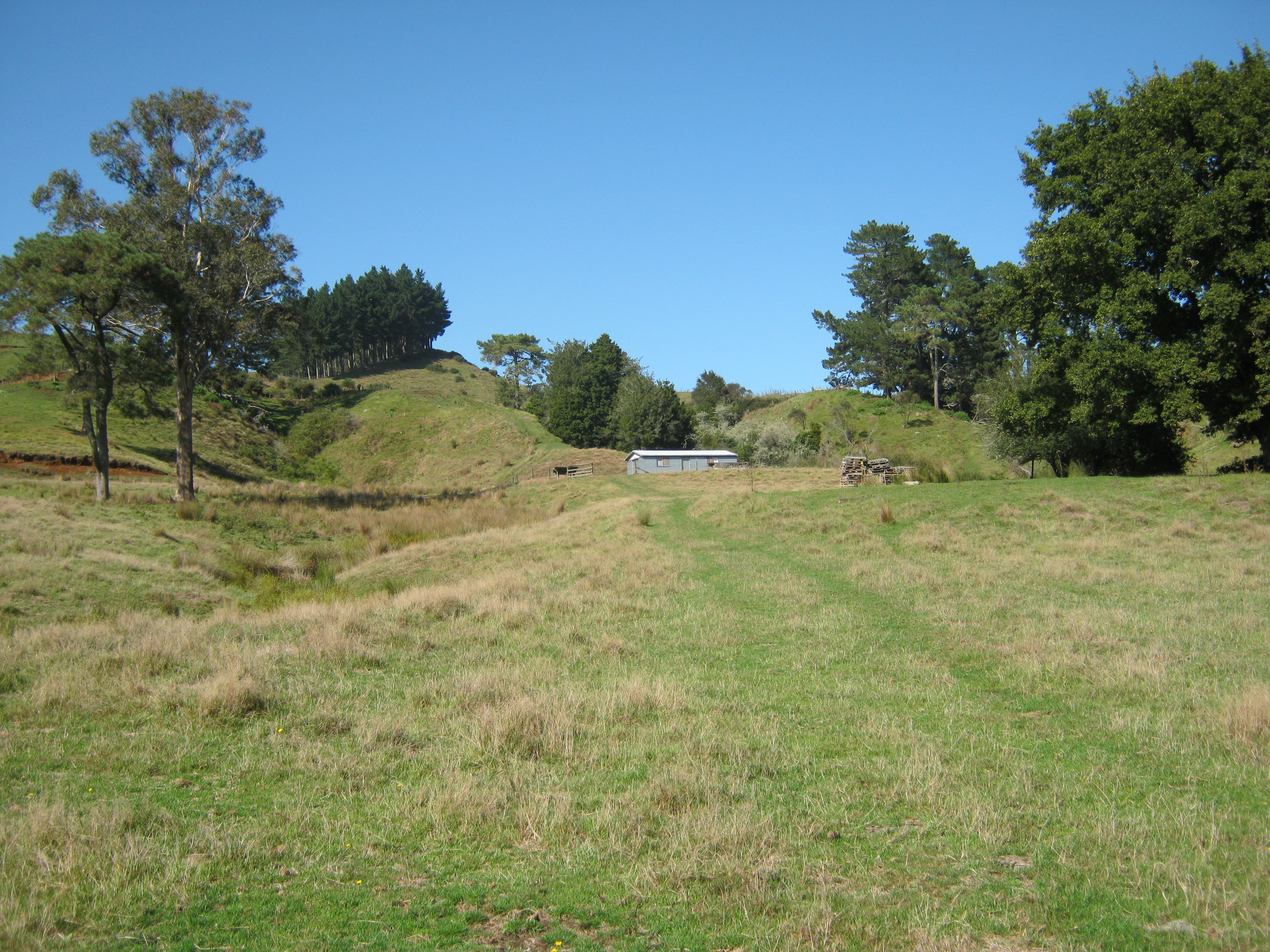 Turitea » Marae » Māori Maps