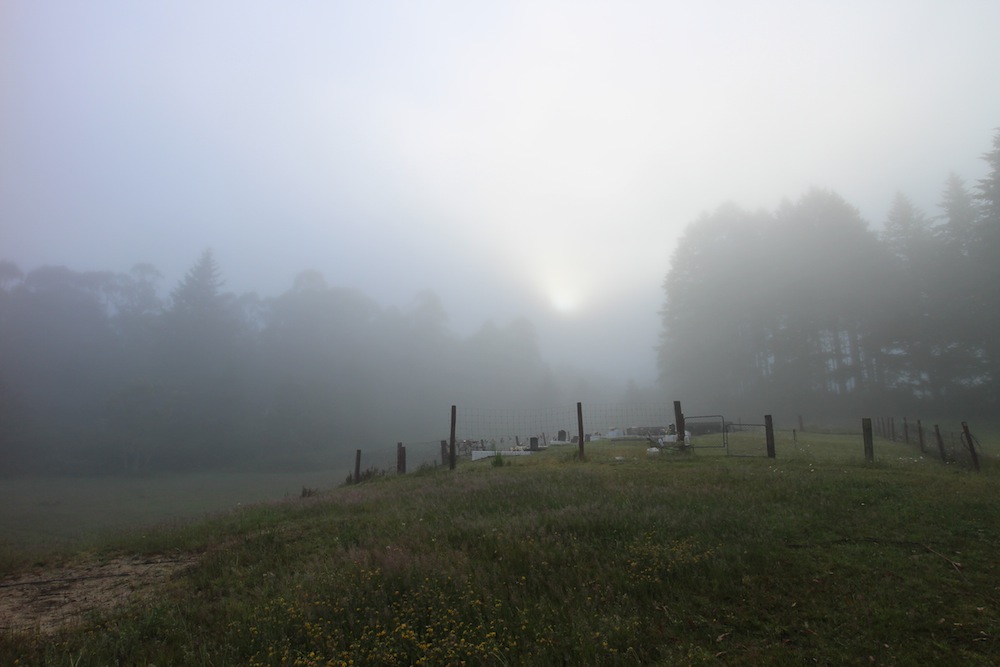 Waireporepo » Marae » Māori Maps